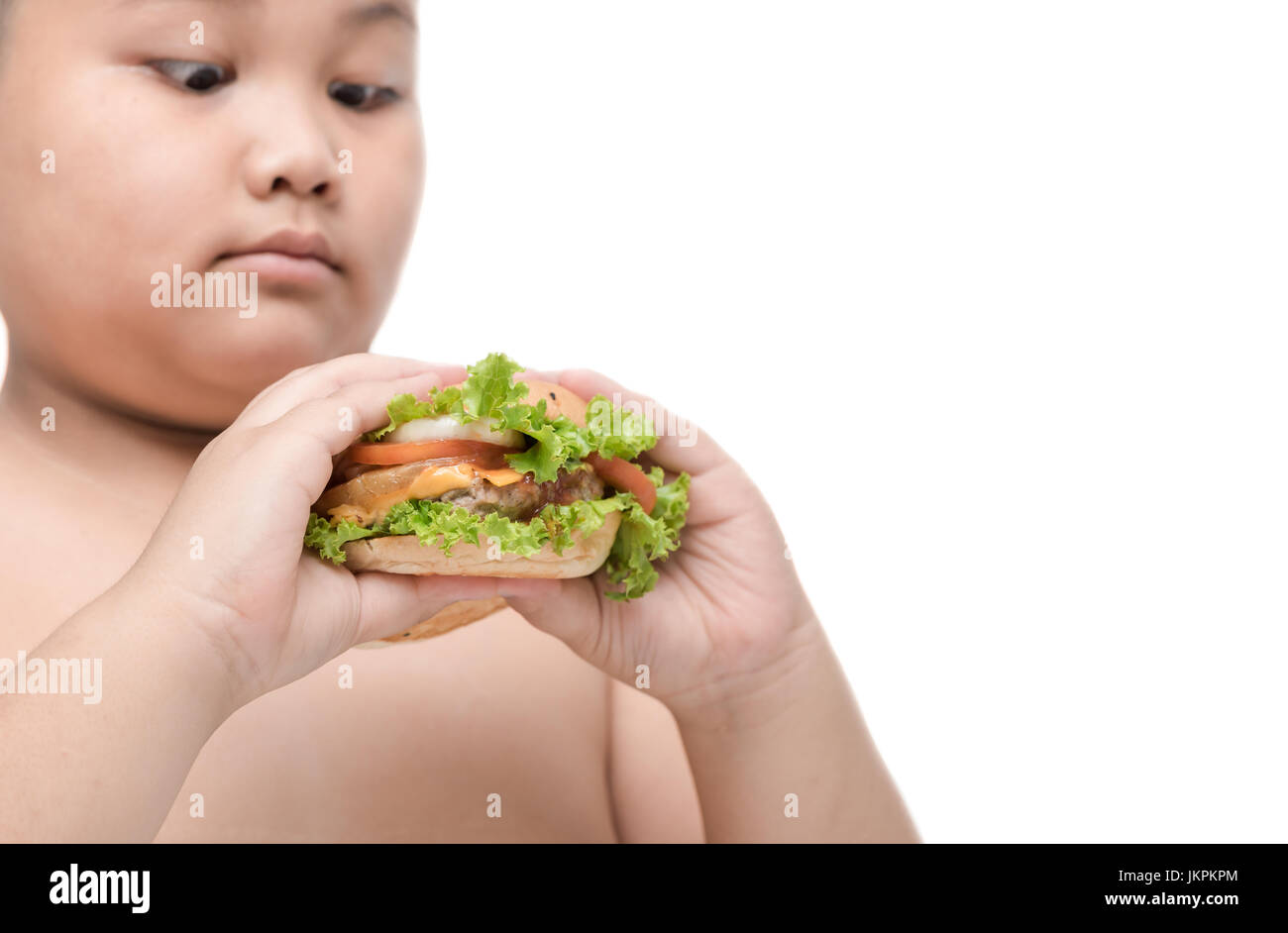 pork hamburger on obese fat boy hand background isolated on white ...