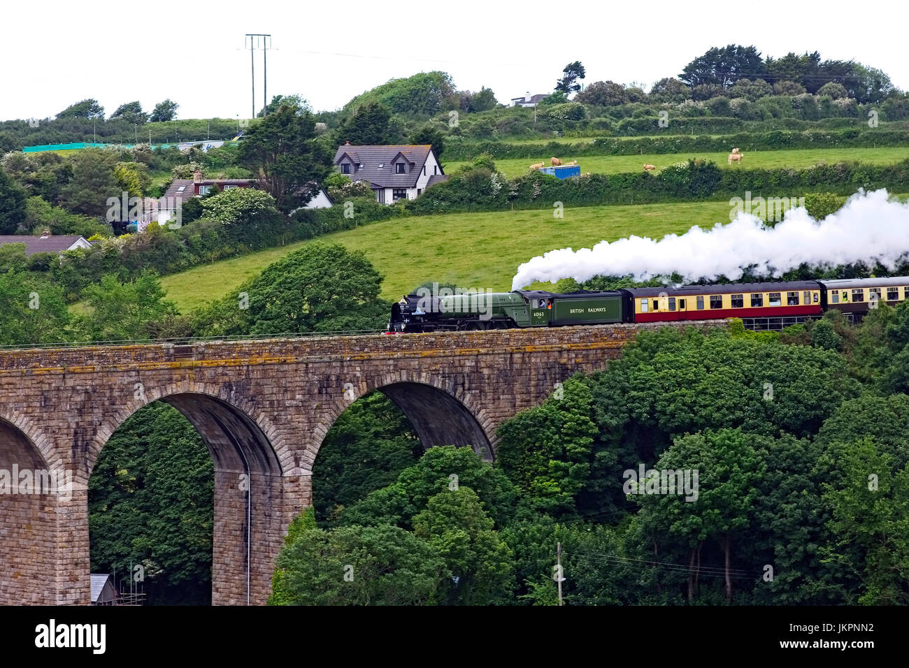 The steam engine, "Tornado", 60163, passing over Angarrack Viaduct on ...