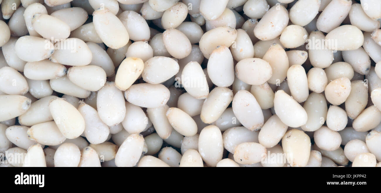 many cedar nut at day Stock Photo - Alamy