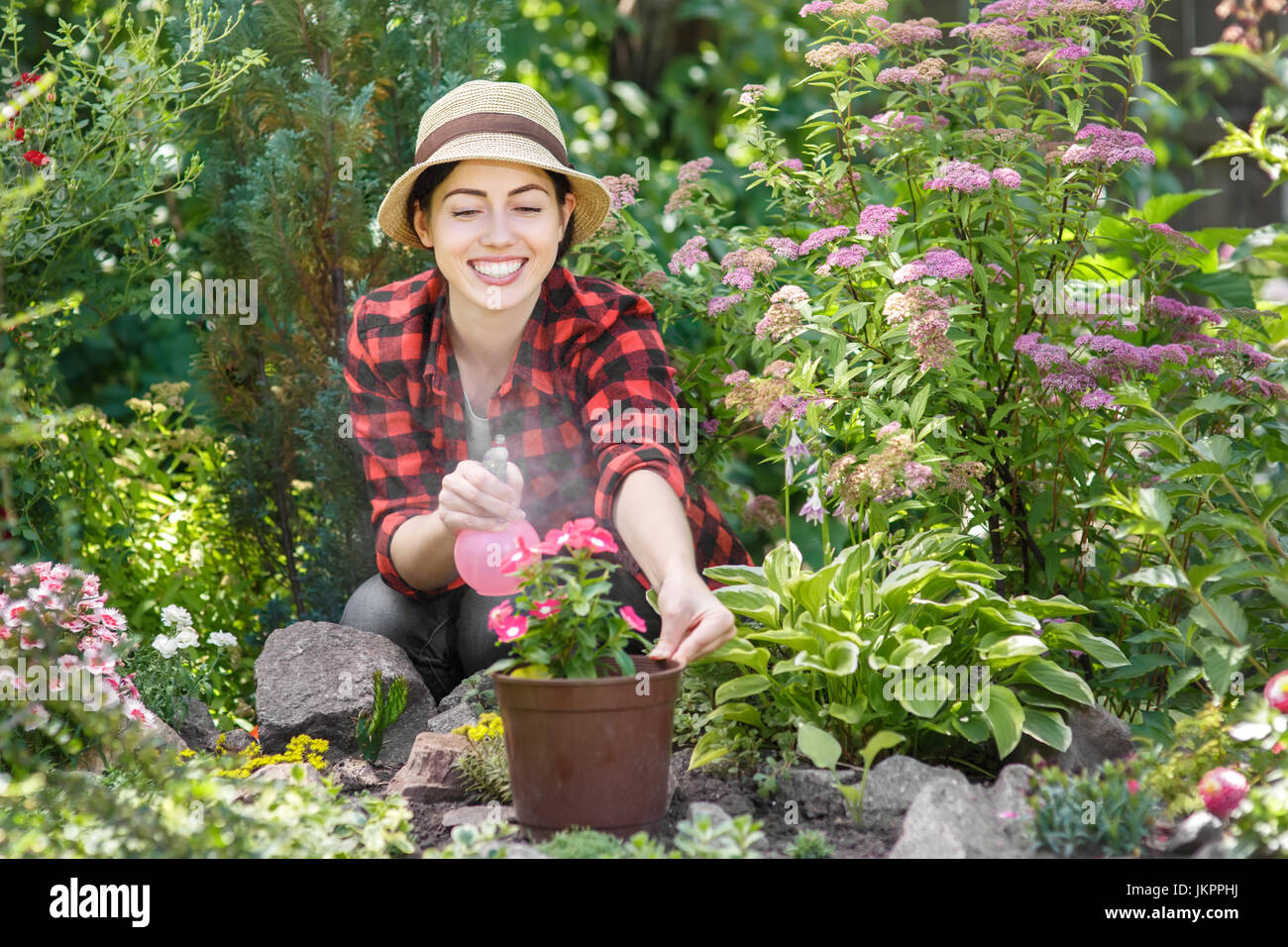 gardener spraying water on flowers Stock Photo - Alamy