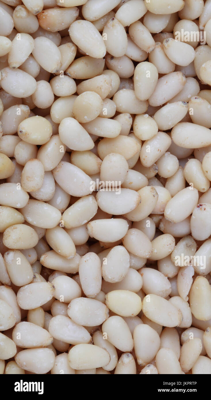 many cedar nut at day Stock Photo - Alamy