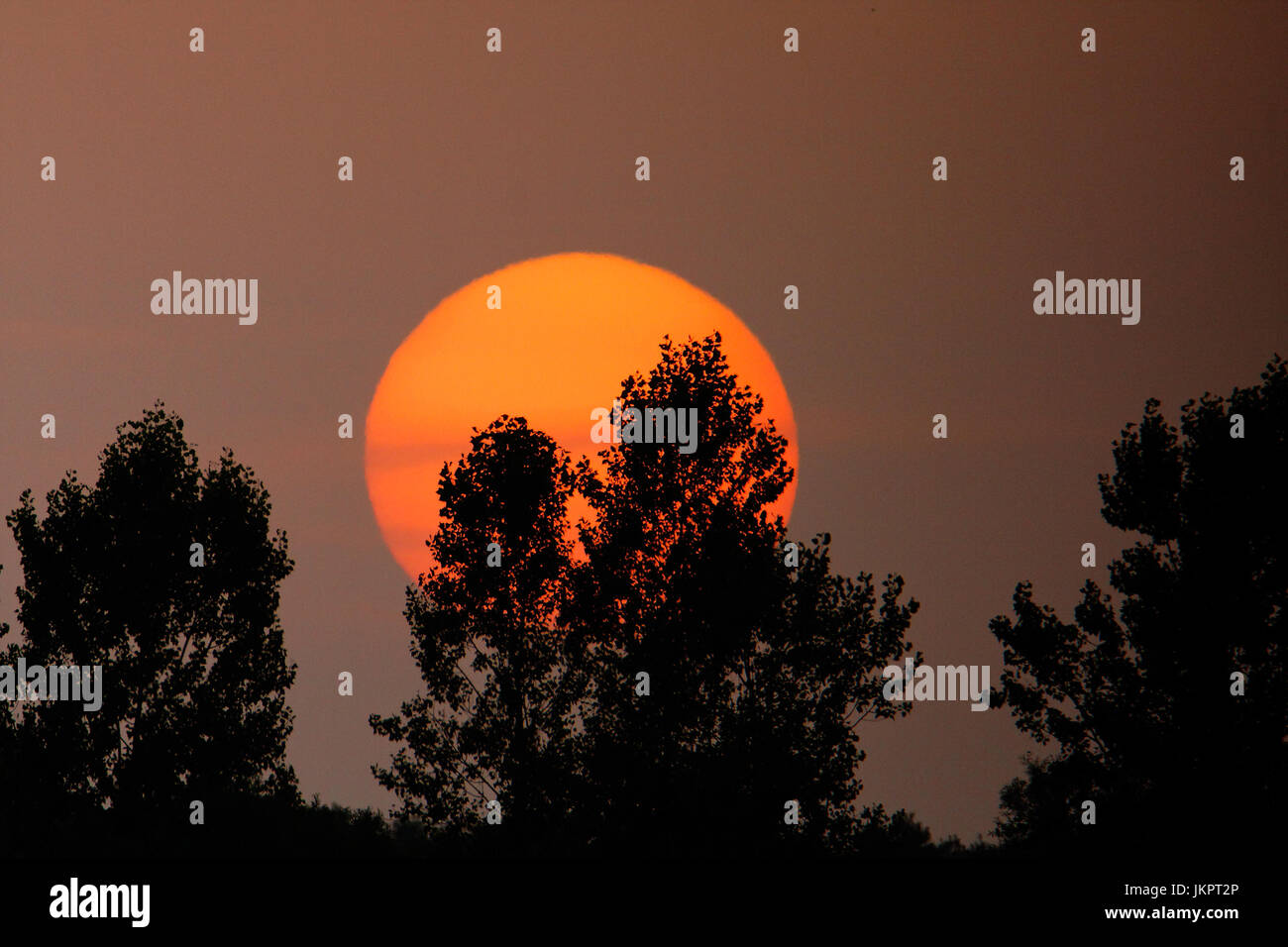 Setting sun through branches hi-res stock photography and images - Alamy