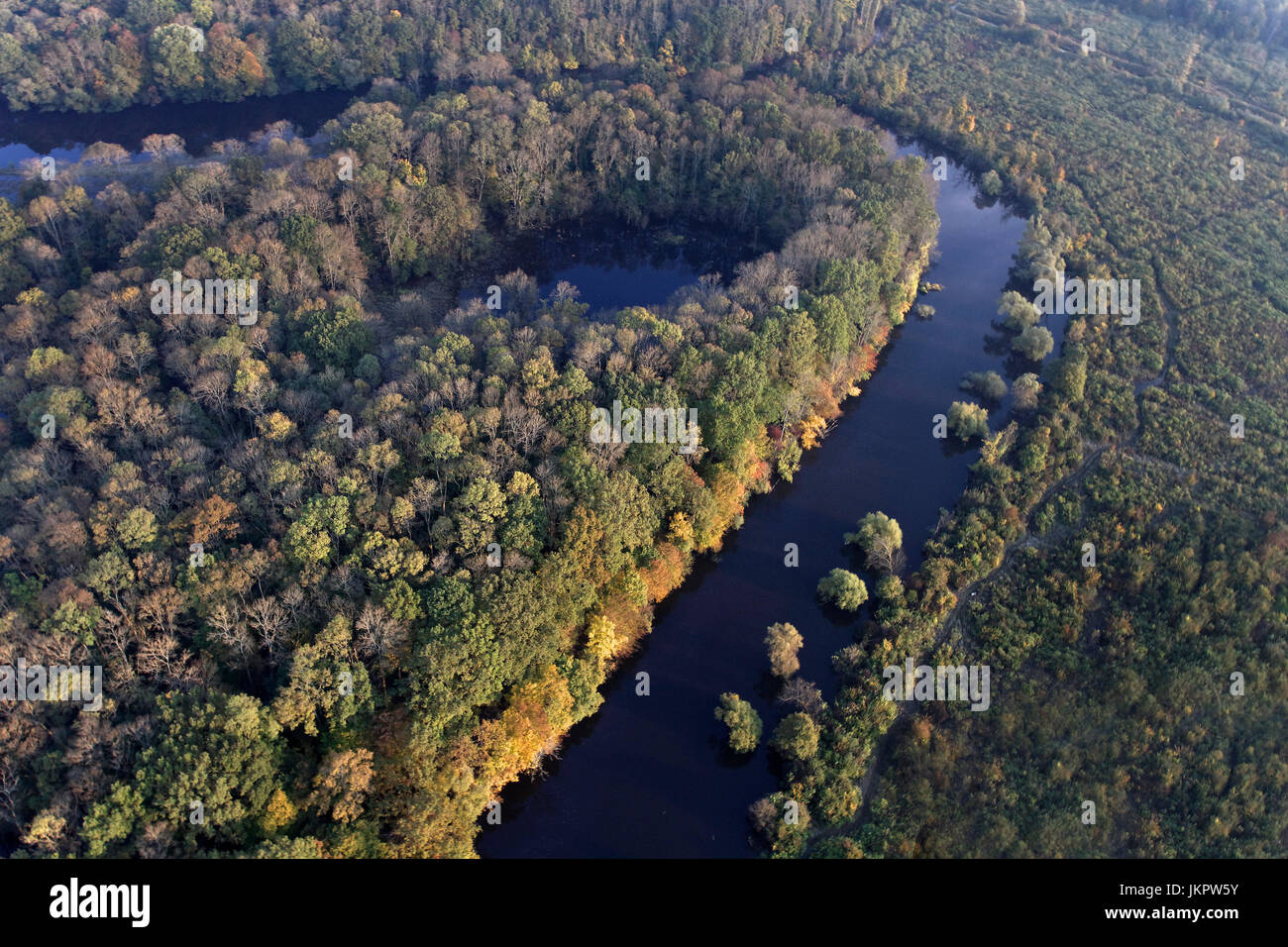 Aerial footage of flood forest along the Lonja River in Lonjsko polje ...