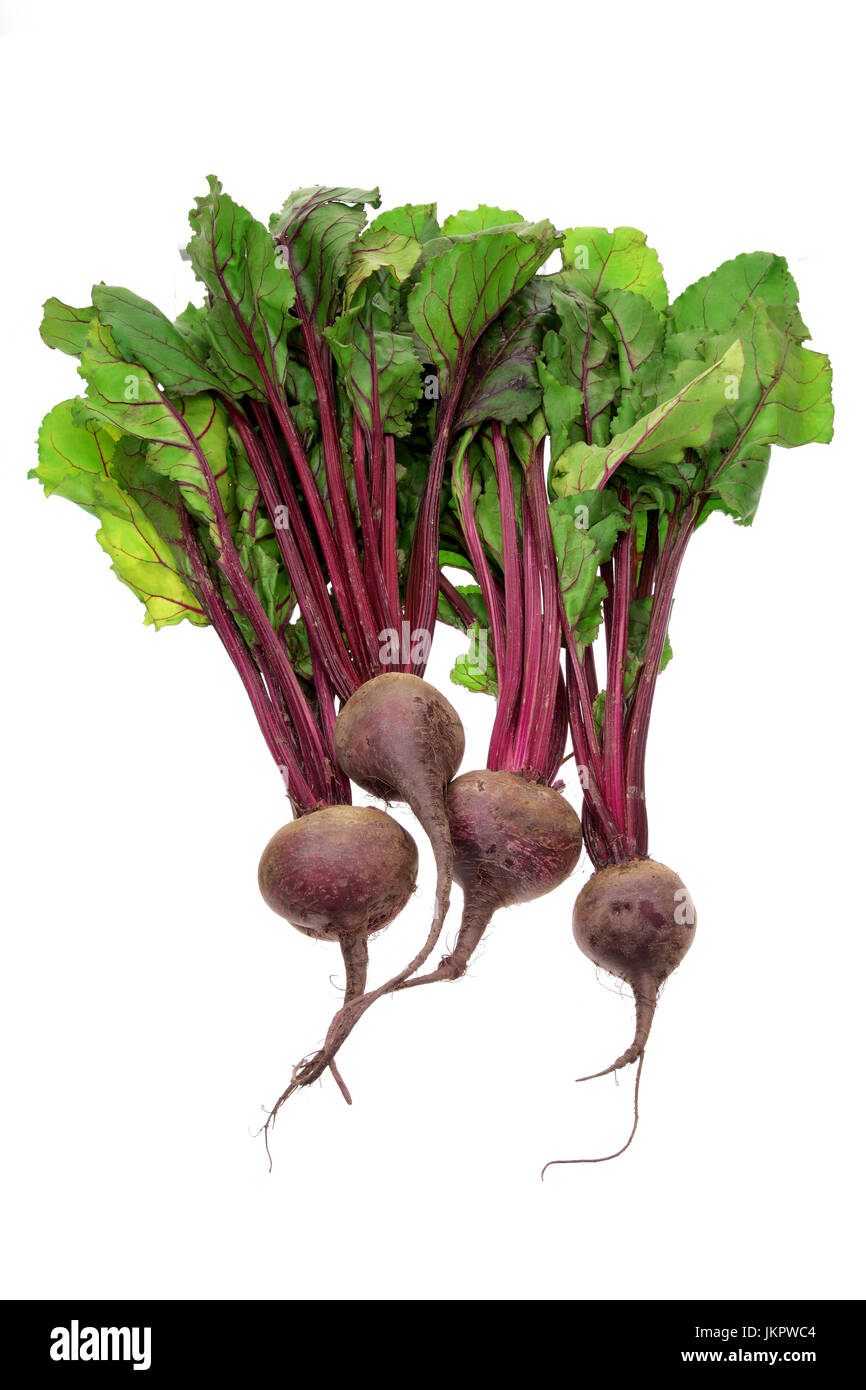 Beetroot on White Background Stock Photo - Alamy