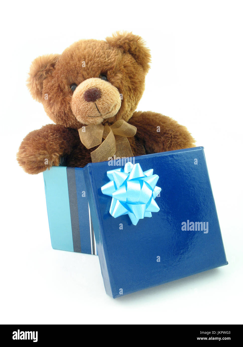 Teddy bear in blue gift box. It is isolated on a white background Stock ...