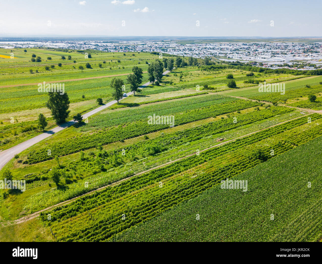 Aerial Drone View Of Green Agricultural Parcel Fields Stock Photo - Alamy