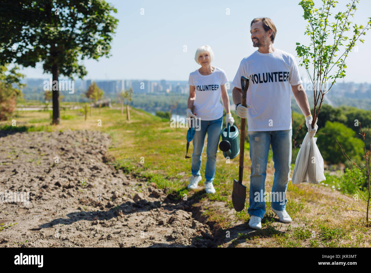 Clever motivated people choosing a place to plant trees Stock Photo - Alamy