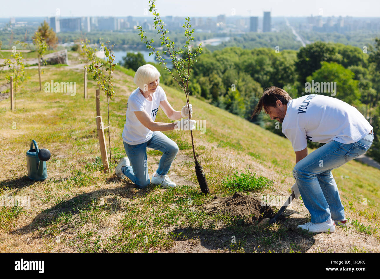 Charming gallant man helping his colleague with digging Stock Photo - Alamy