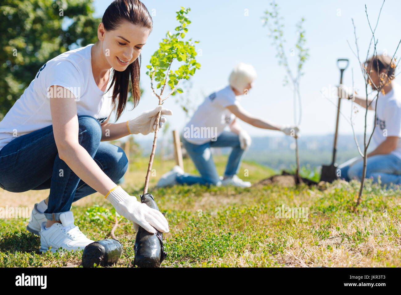 Delicate charismatic woman careful with little trees Stock Photo - Alamy