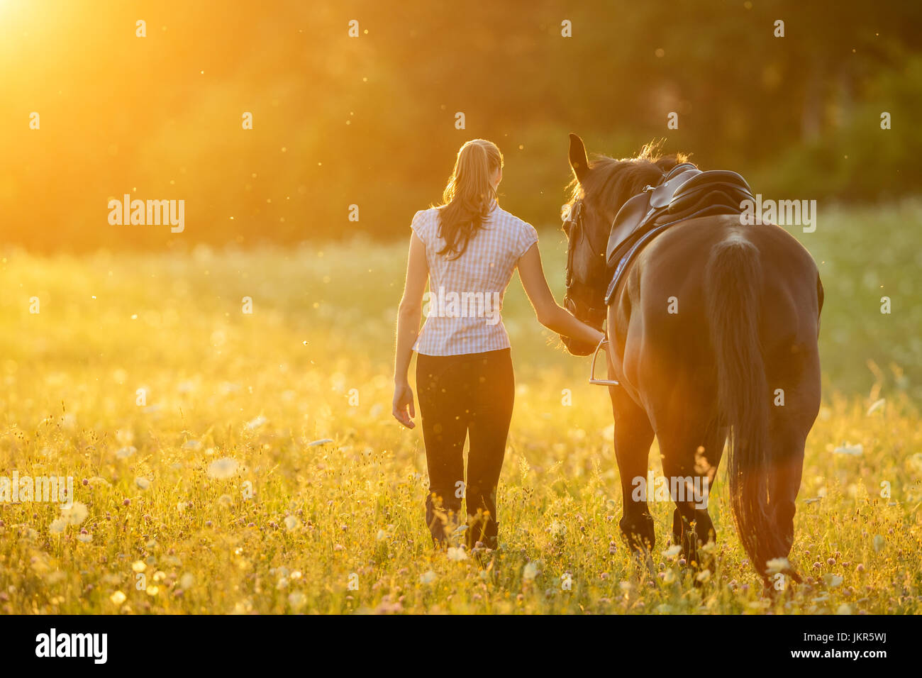 Model backview hi-res stock photography and images - Alamy