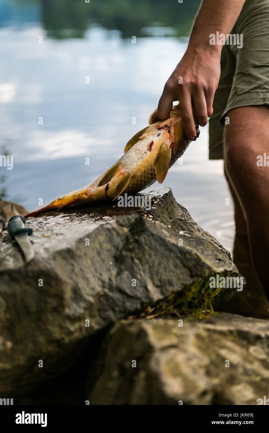 Man Holding Carp High Resolution Stock Photography and Images - Alamy