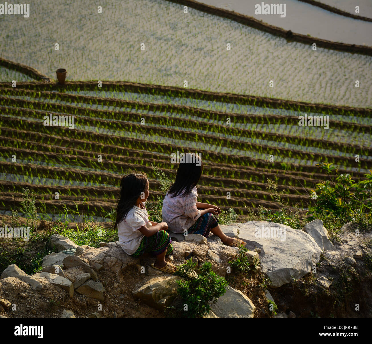 Mu Cang Chai, Vietnam - May 28, 2016. Hmong girls sit on rice field in ...