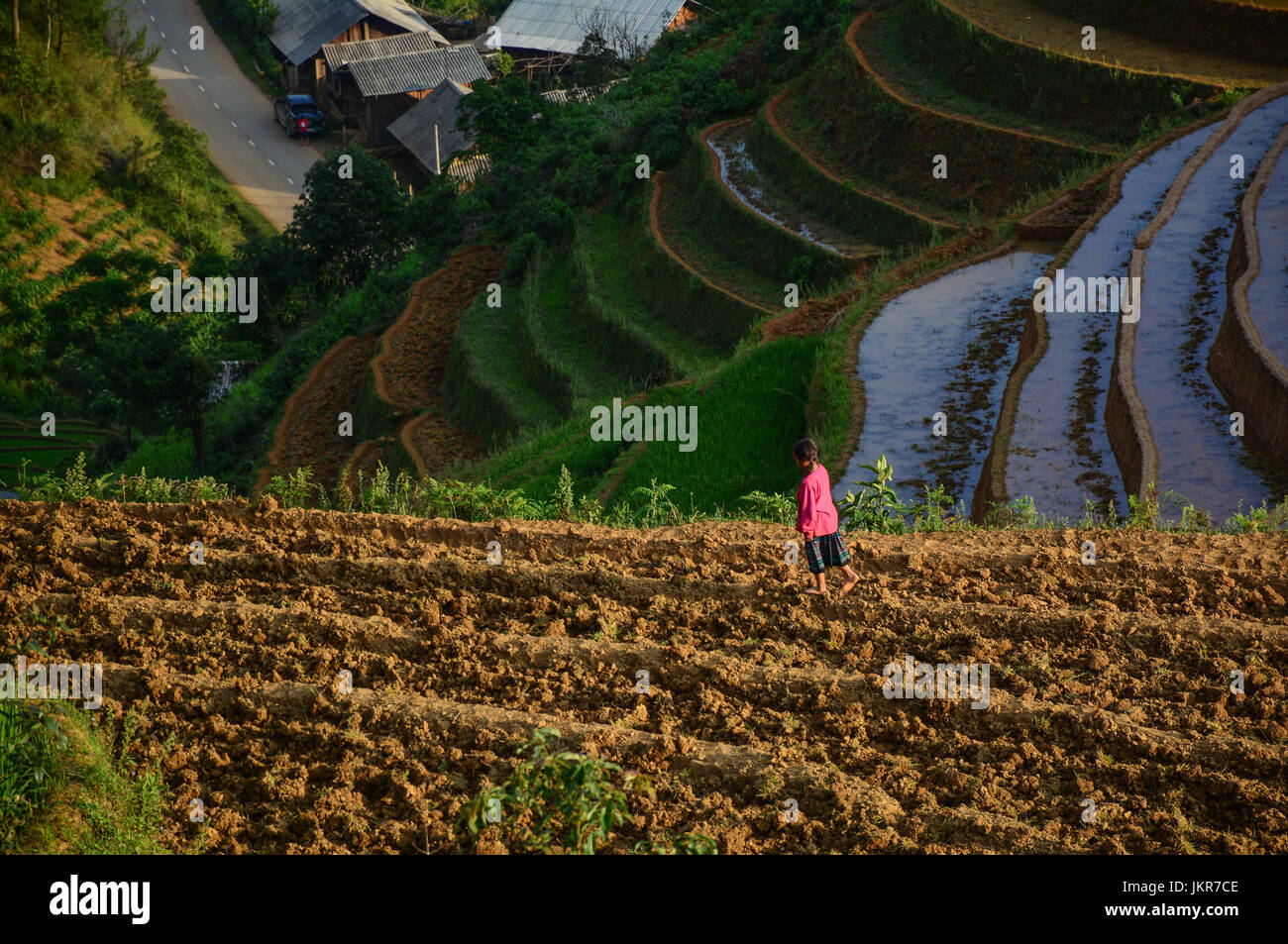 A Hmong child walking on rice field in Mu Cang Chai, Vietnam. Mu Cang ...