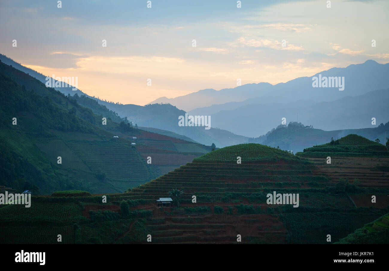 Mountain scenery at early morning in Mu Cang Chai, Northern Vietnam. Mu ...