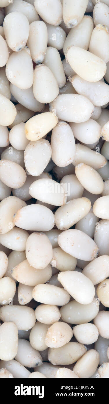 many cedar nut at day Stock Photo - Alamy