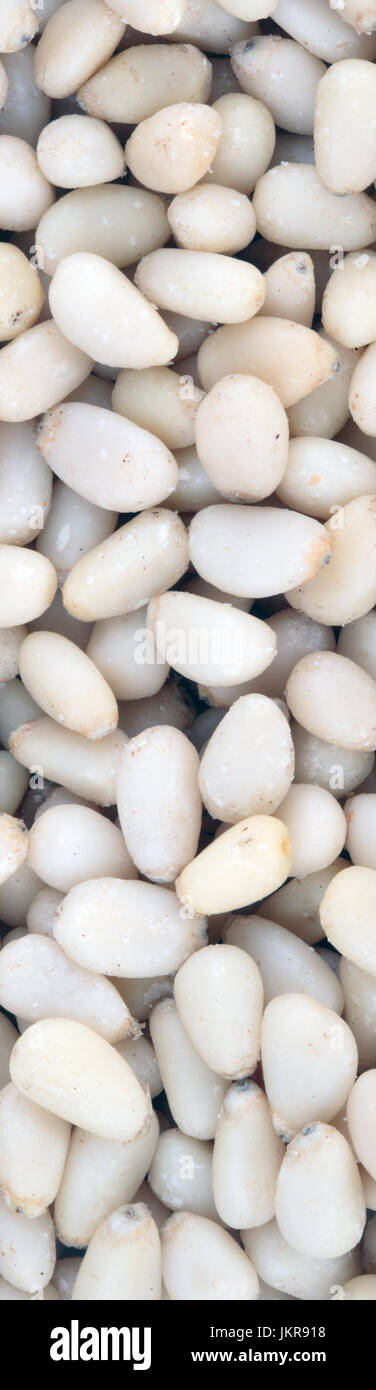 many cedar nut at day Stock Photo - Alamy