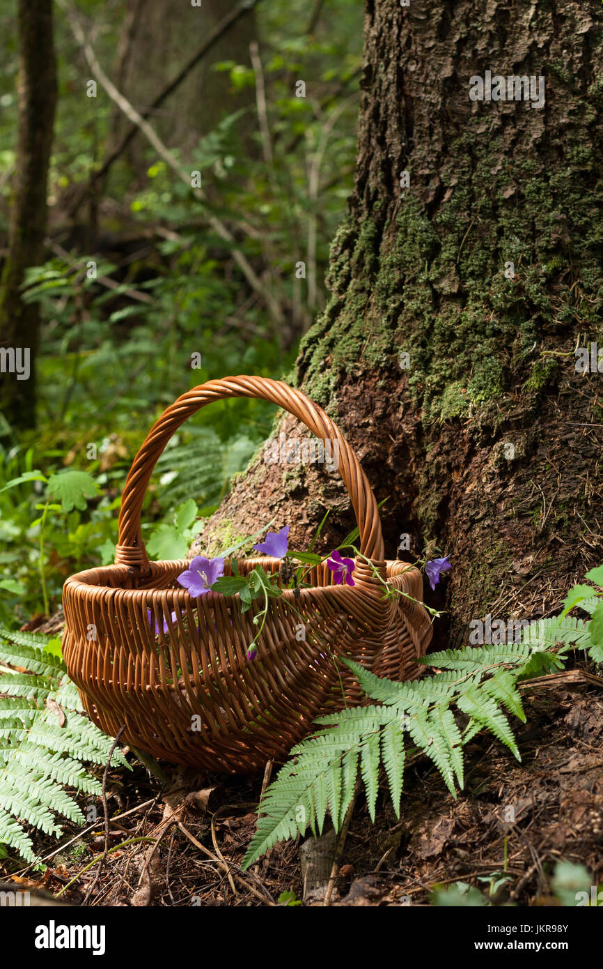 Empty flower basket hi-res stock photography and images - Alamy