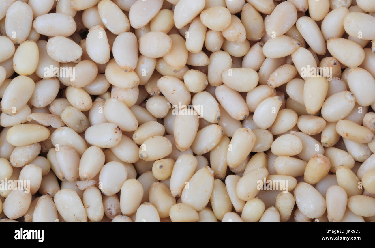 many cedar nut at day Stock Photo - Alamy