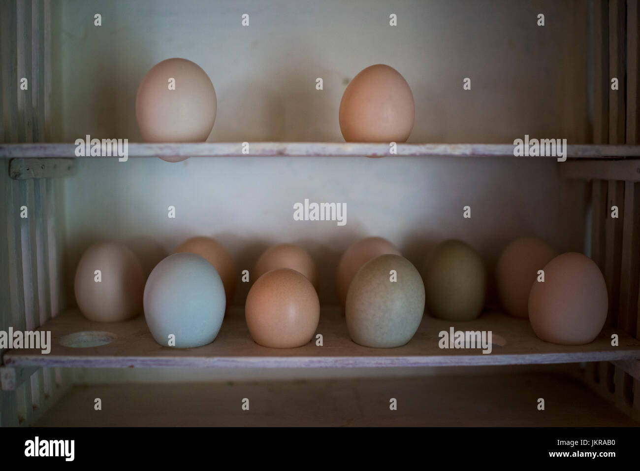 Various eggs on shelf Stock Photo - Alamy