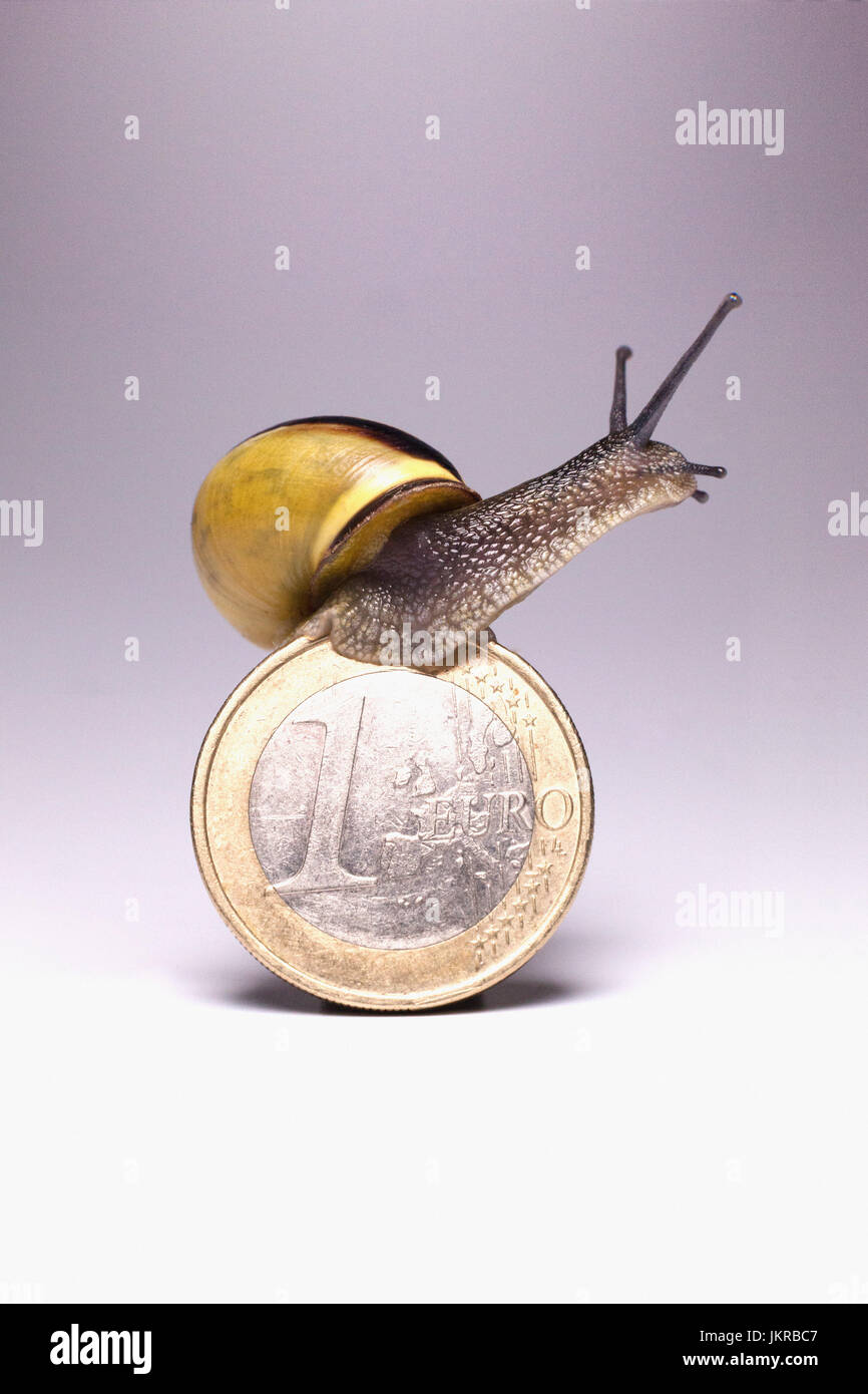 Snail on top of one Euro coin against gray background Stock Photo - Alamy