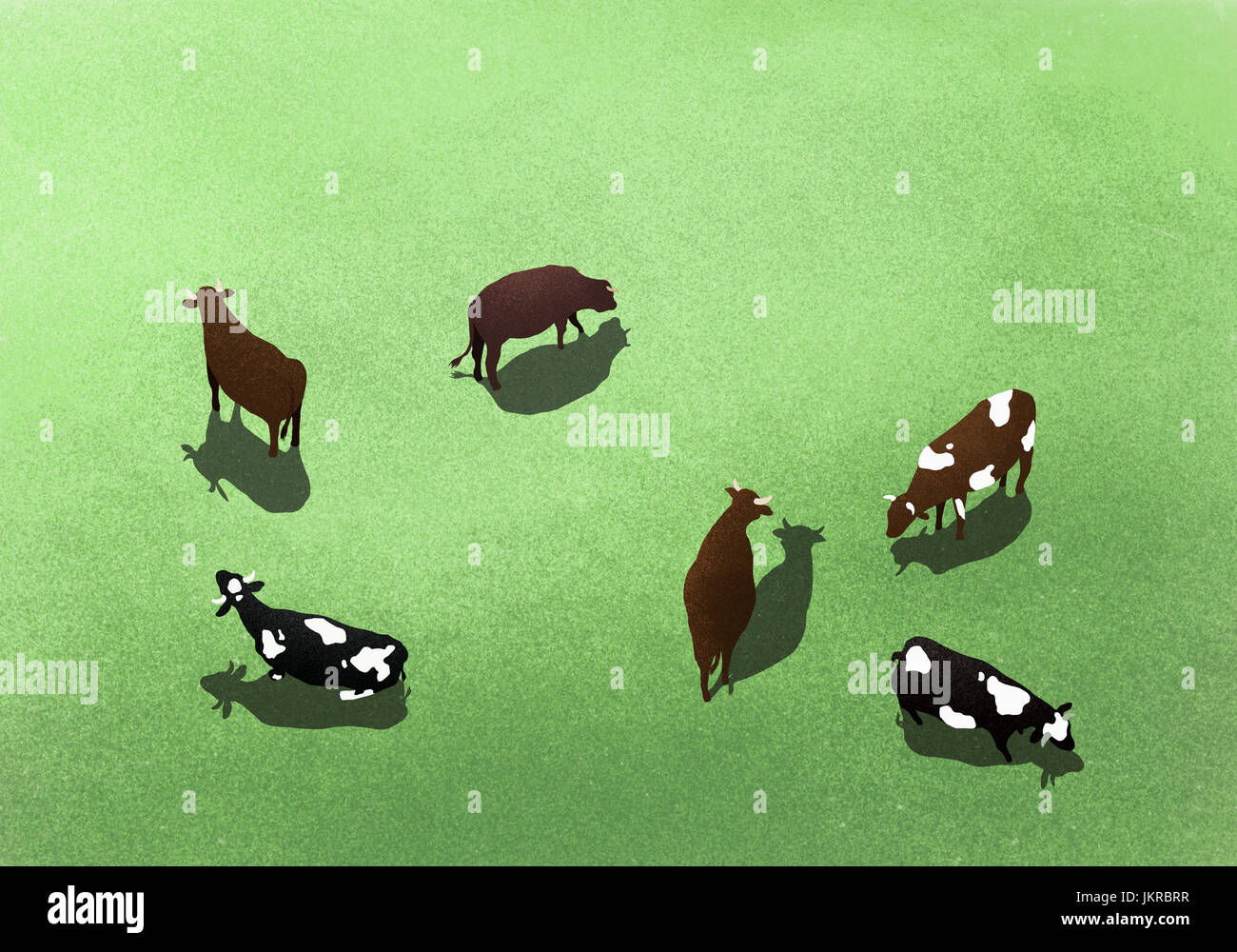 High angle view of cows on grassy field Stock Photo - Alamy