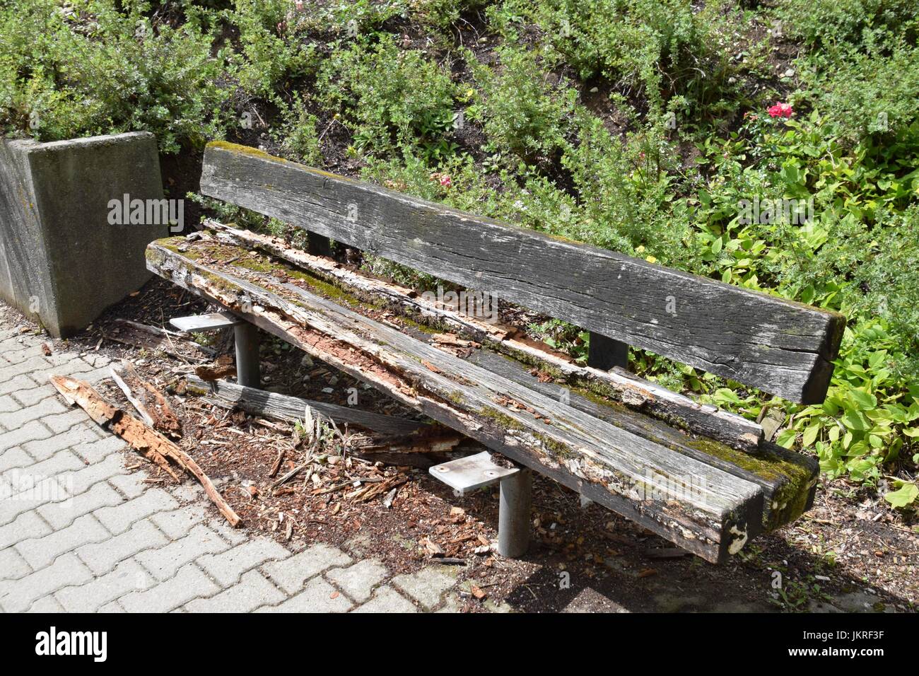rotted Wooden bench Stock Photo - Alamy
