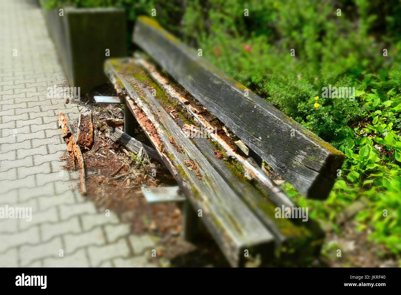 rotted Wooden bench Stock Photo - Alamy