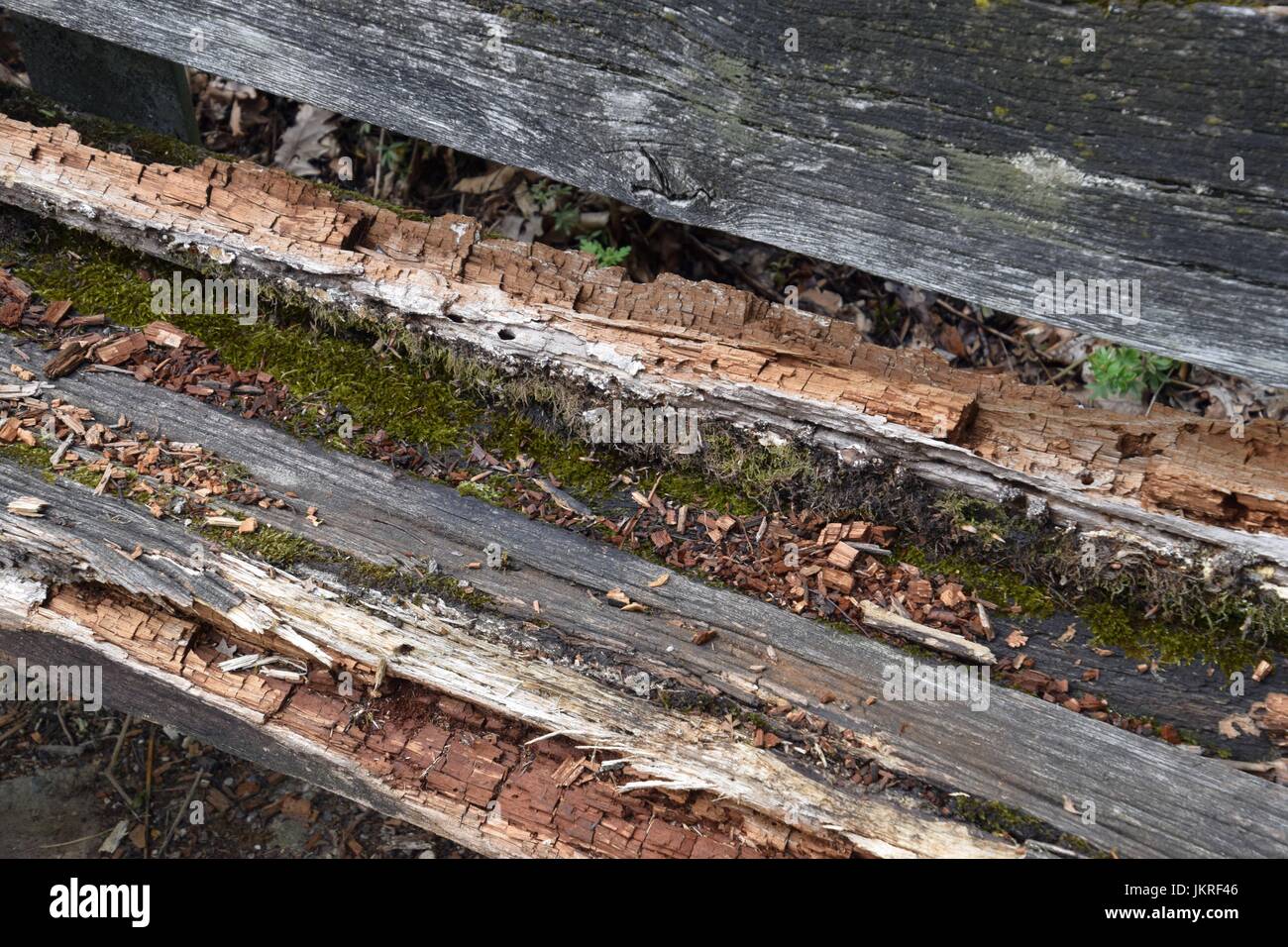rotted Wooden bench Stock Photo - Alamy