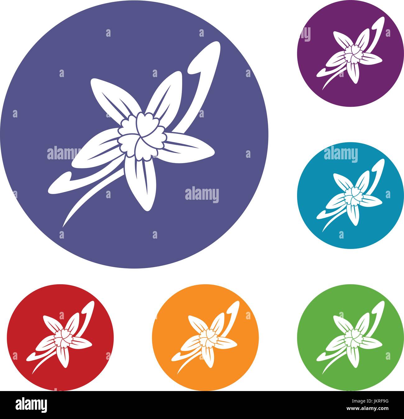 Vanilla sticks and orchid Stock Vector Images - Alamy