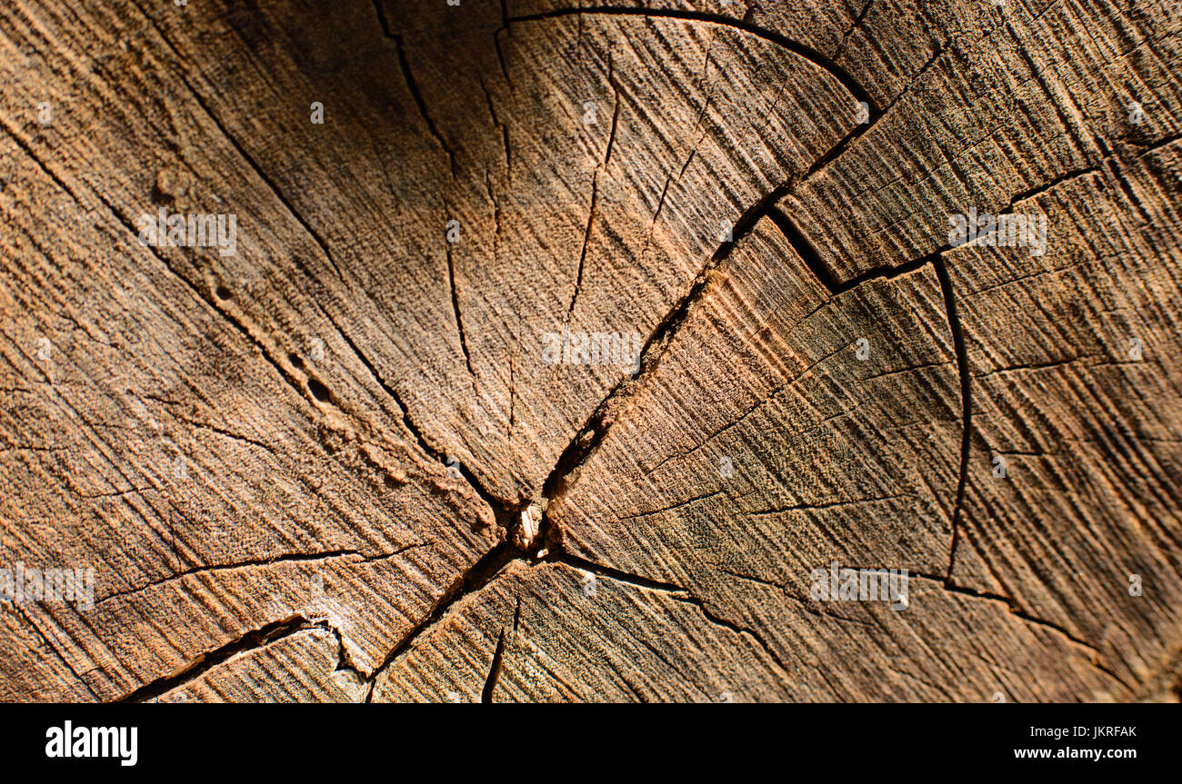wooden pattern texture surface Stock Photo - Alamy