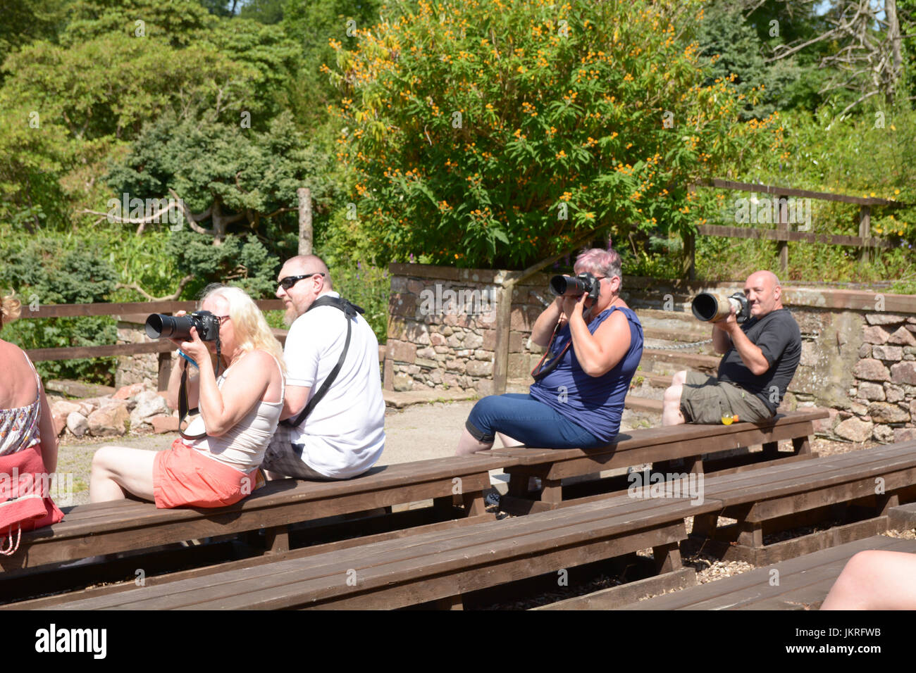 Photographers taking photos of wild birds in the Lake District in ...