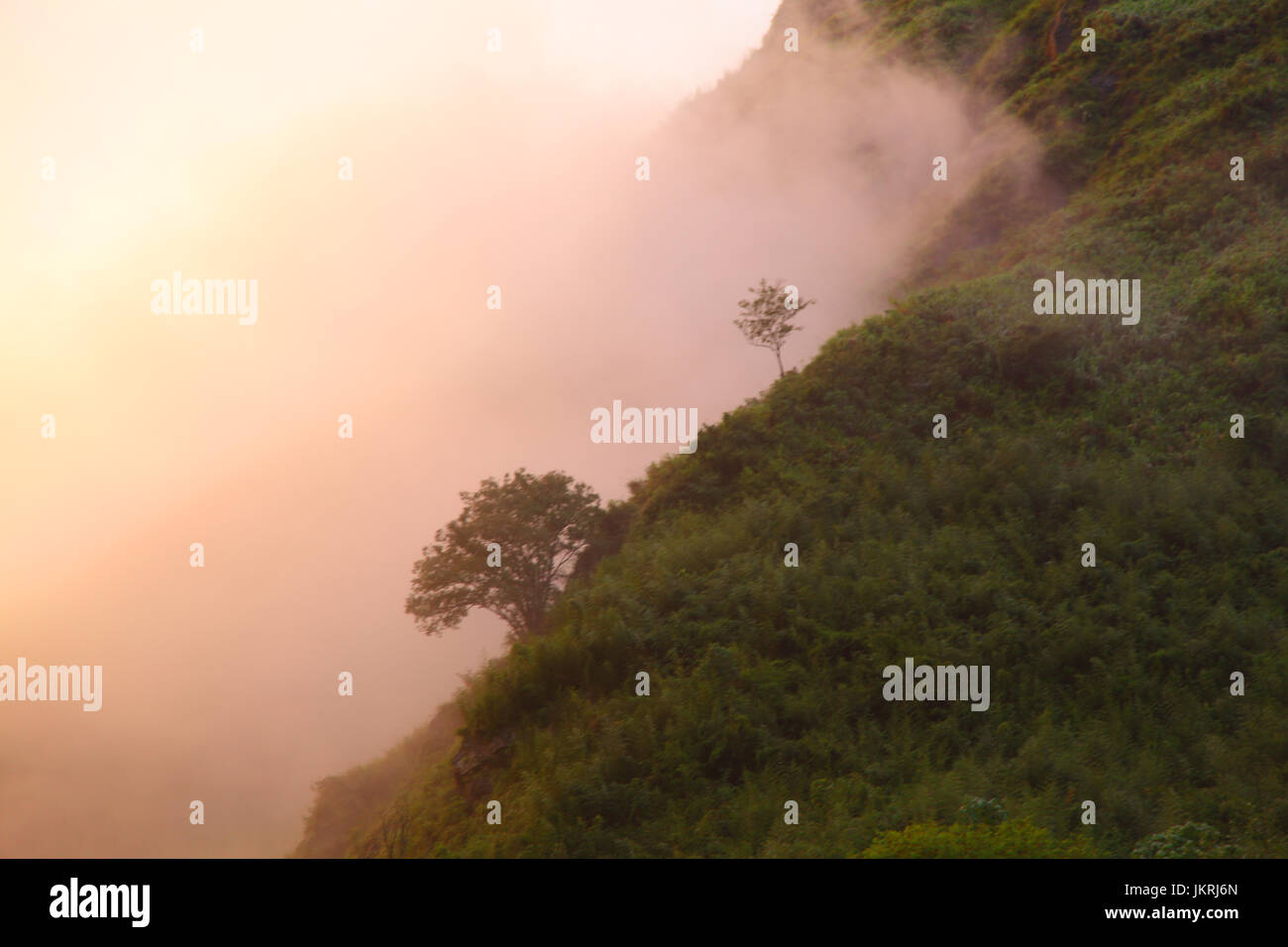 Central range of taiwan hi-res stock photography and images - Alamy