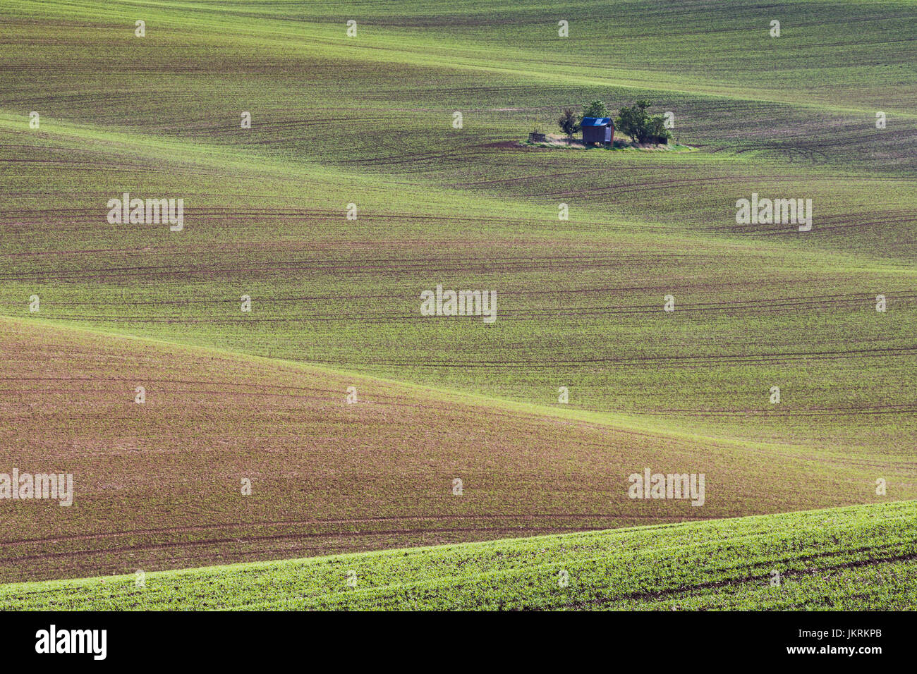 South Moravian fields Stock Photo - Alamy