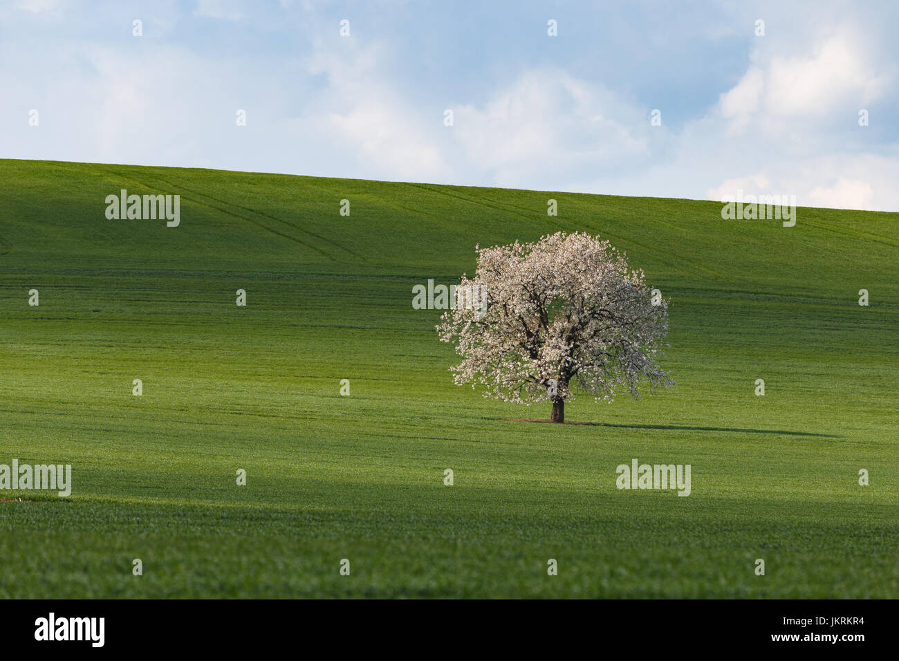 South Moravian fields Stock Photo - Alamy