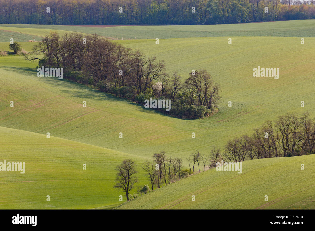 South Moravian fields Stock Photo - Alamy