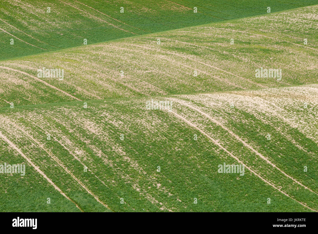 South Moravian fields Stock Photo - Alamy