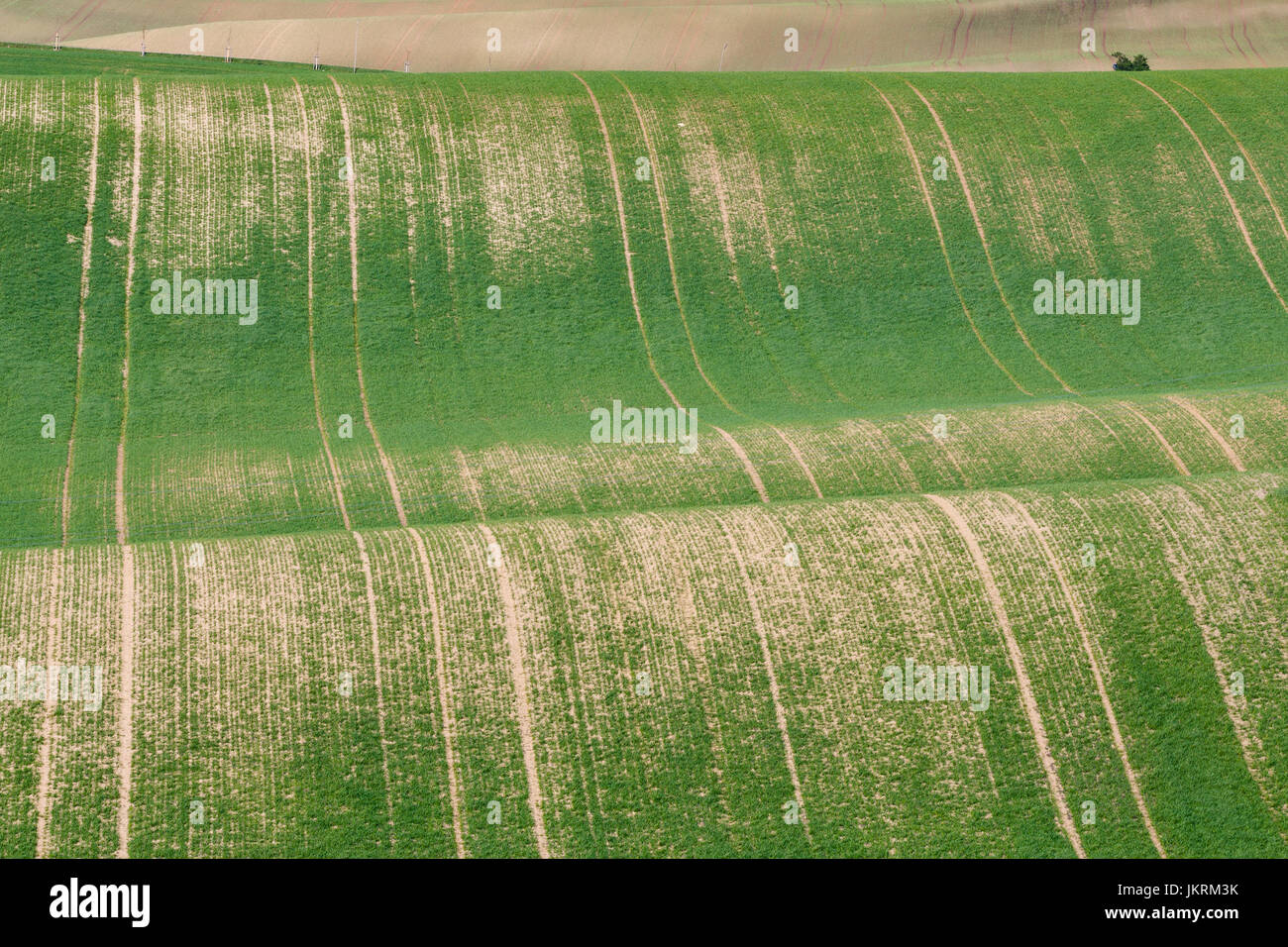 South Moravian fields Stock Photo - Alamy