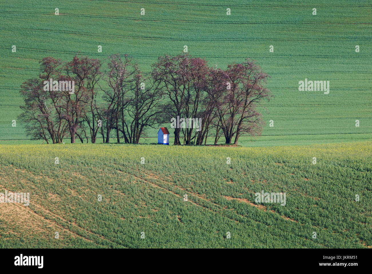 South Moravian fields Stock Photo - Alamy