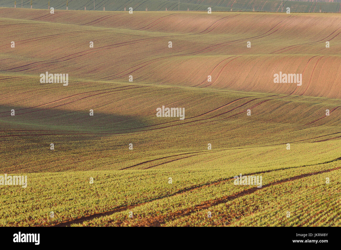 South Moravian fields Stock Photo - Alamy