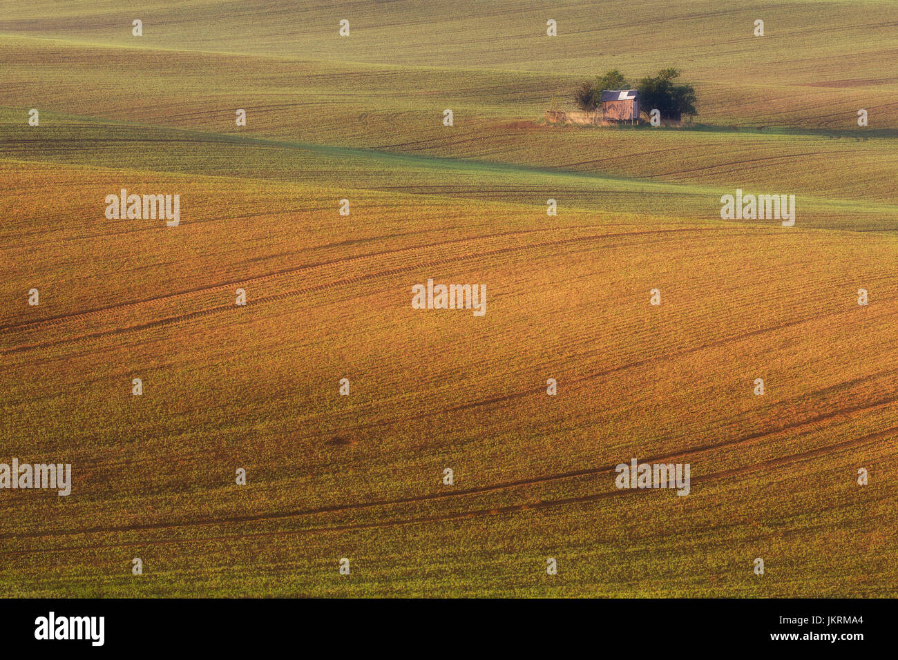 South Moravian fields Stock Photo - Alamy
