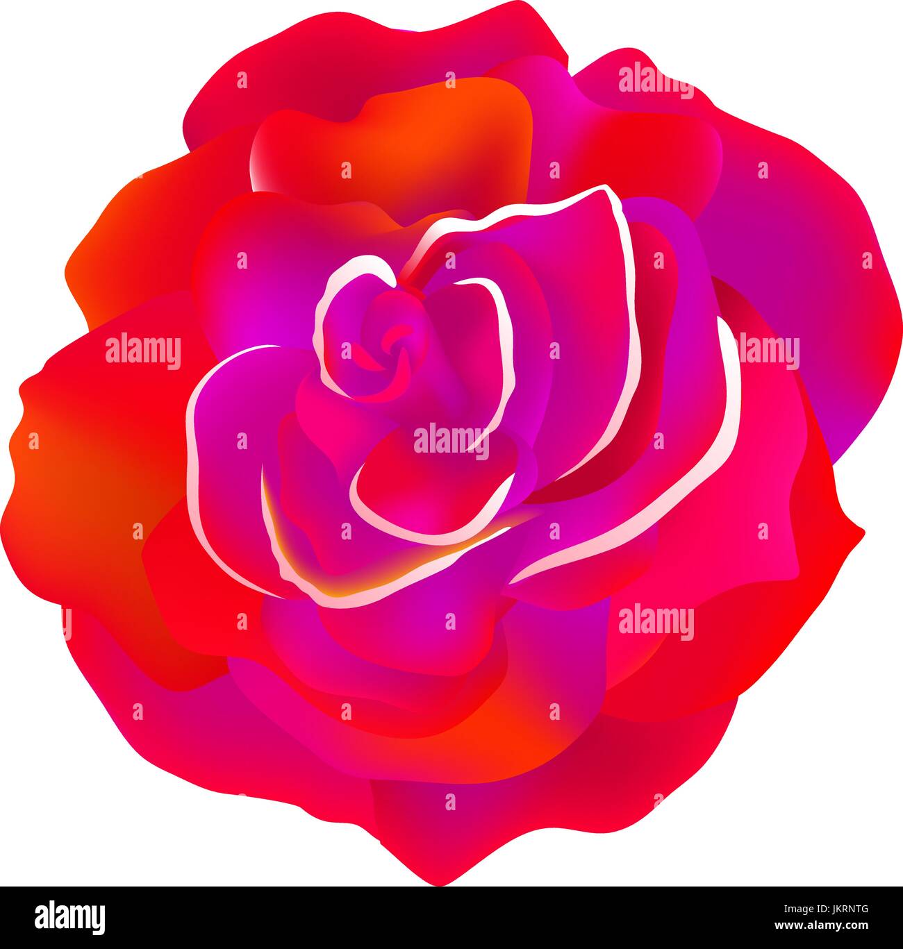 Big rose. Abstract background red vector art Stock Vector Image & Art ...
