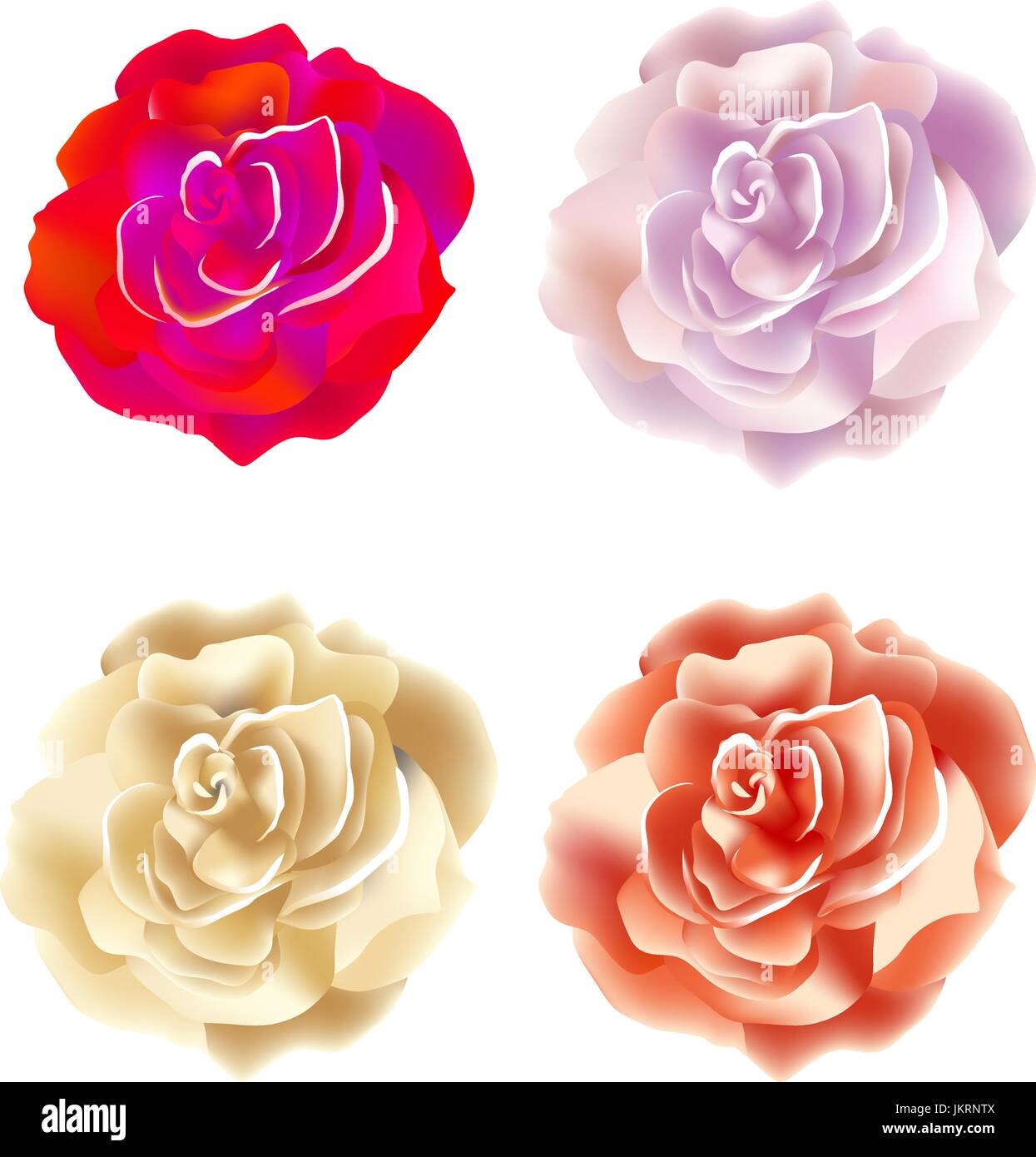 Big rose. Abstract background red vector art Stock Vector Image & Art ...