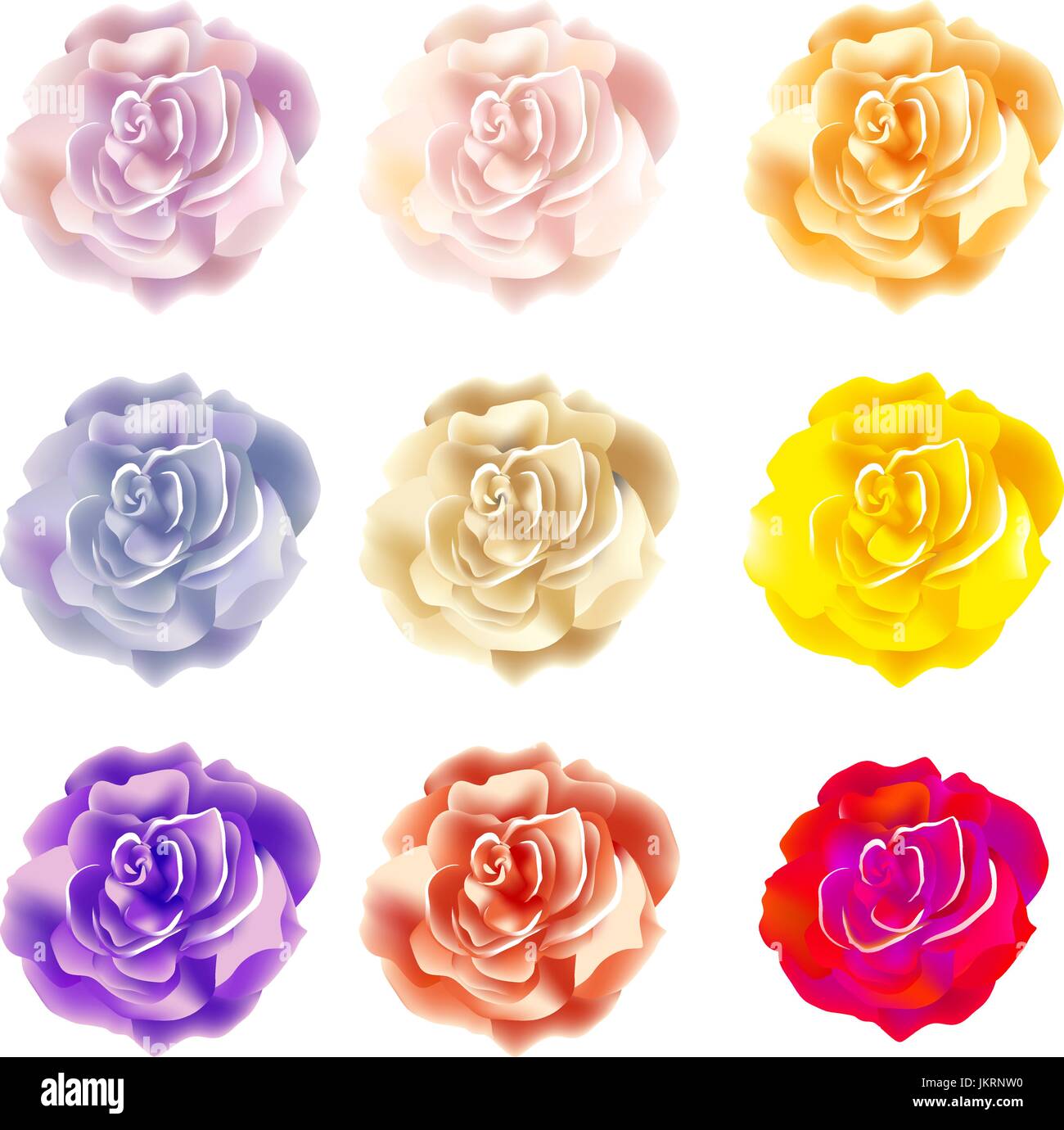 rose, watercolor, Shabby Chic vector art floral Stock Vector Image ...