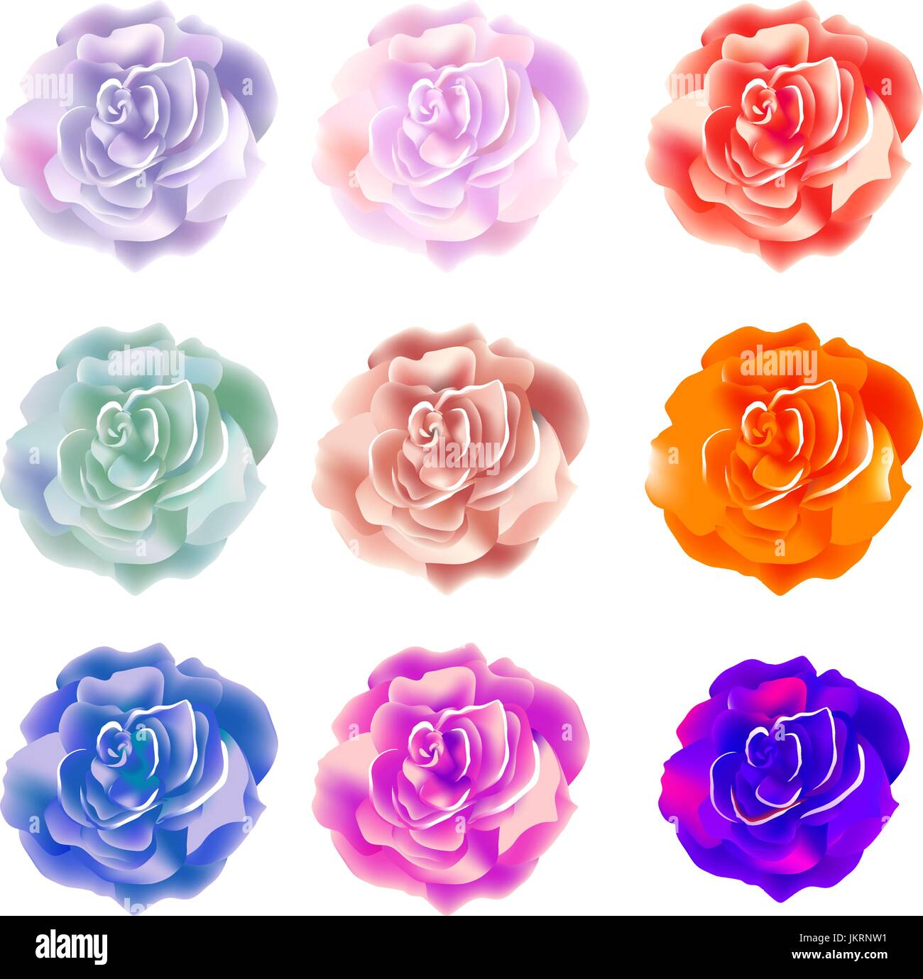 rose, watercolor, Shabby Chic vector art floral Stock Vector Image ...
