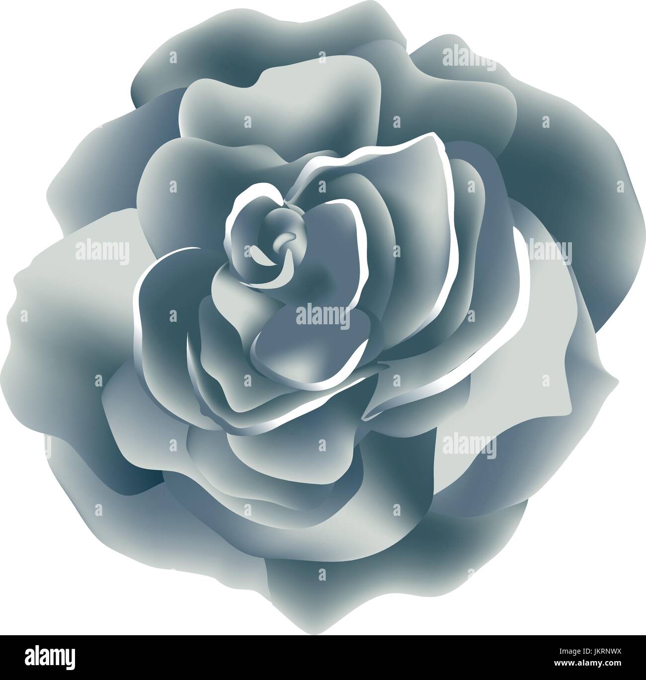 Rose sketch. Grey outline on white background. Vector illustration ...