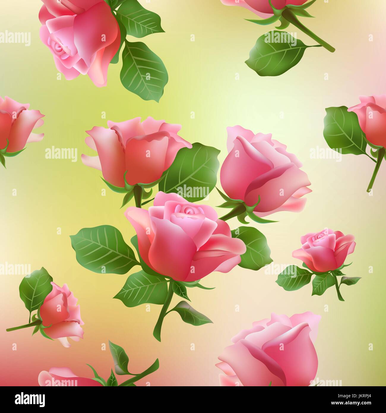 flower rose floral background summer spring petal garden plant Stock ...
