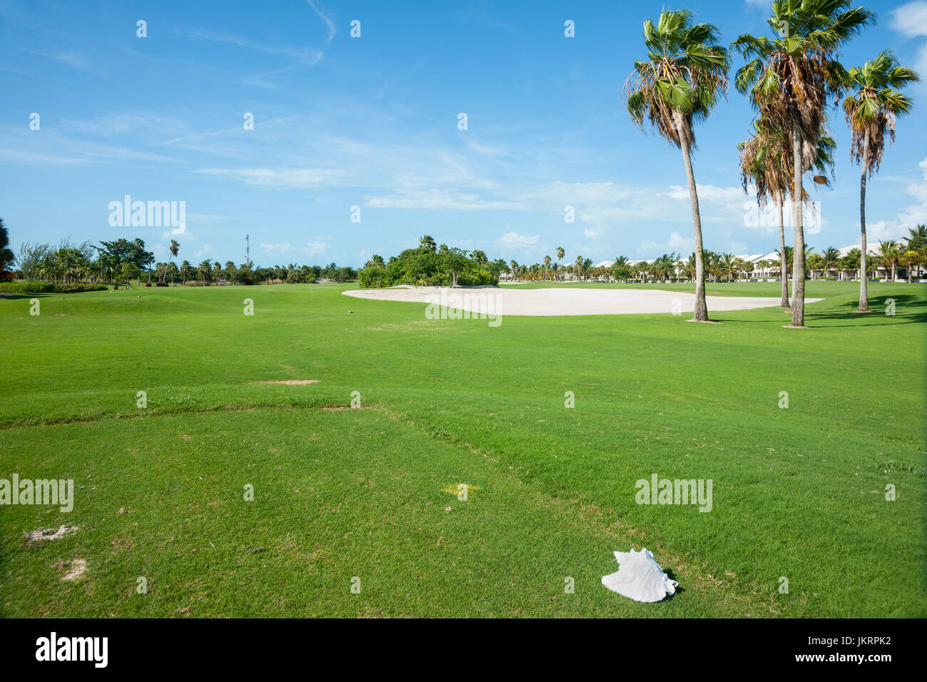 Palm trees cast shadow over golf course fairway with sand bunker beyond ...