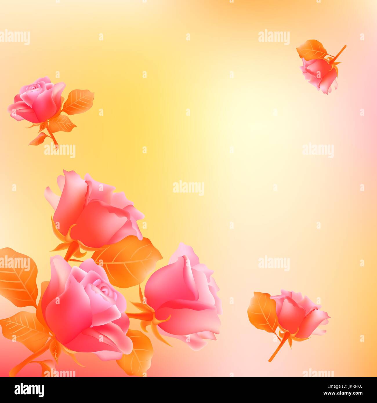 flower rose floral background summer spring petal garden plant Stock ...