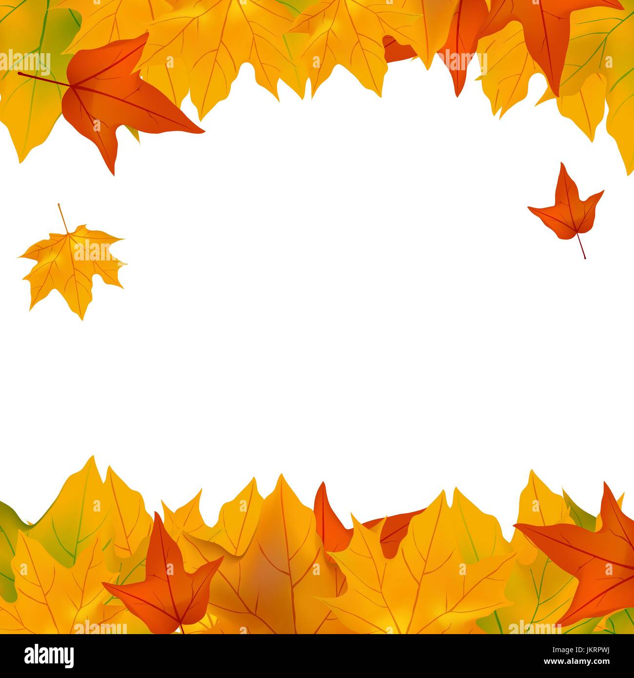 Autumn Leaves Drawing Border