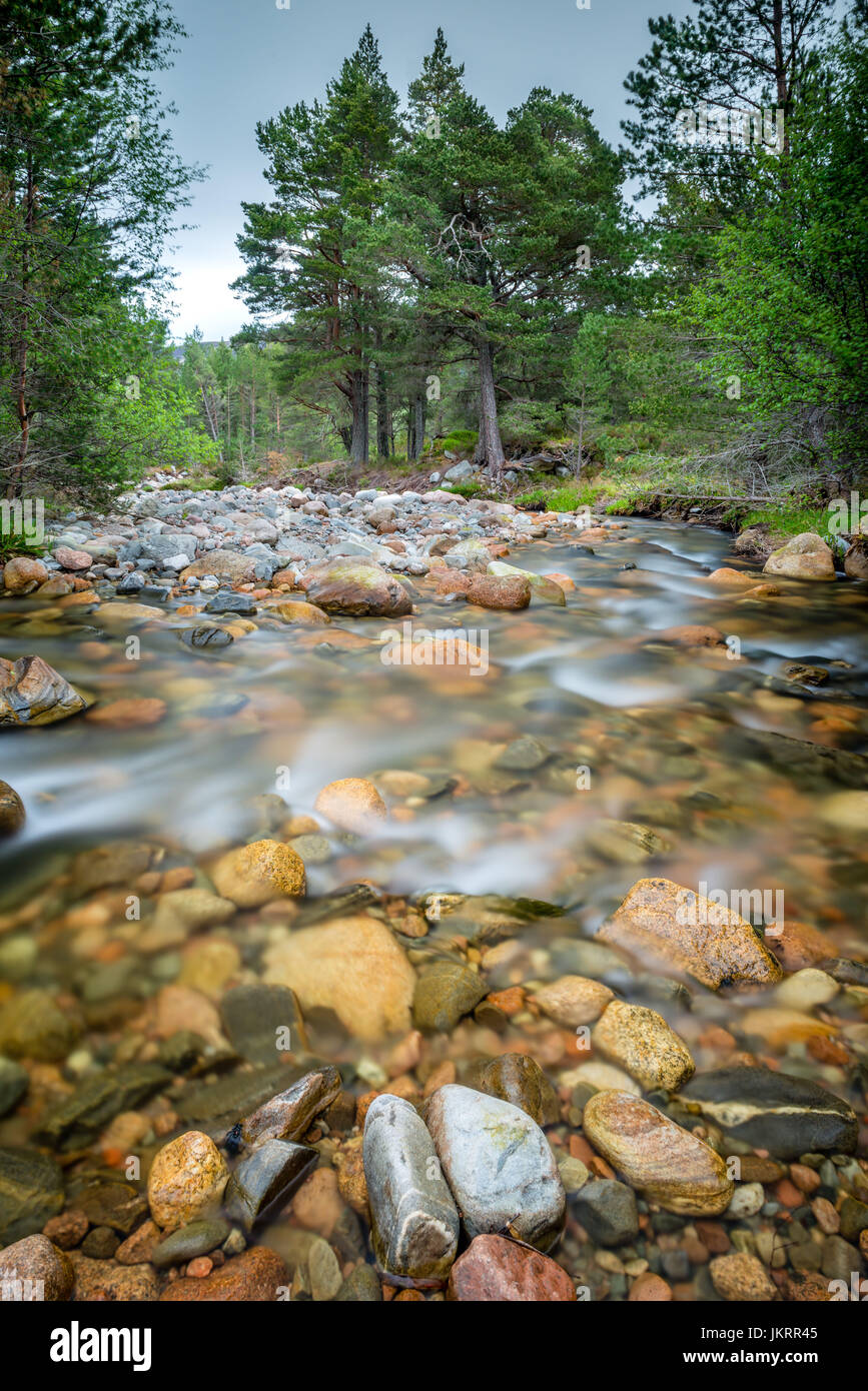 Mountain stream through forest hi-res stock photography and images - Alamy